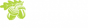 Home - Clinton Higgins Chartered Accountants